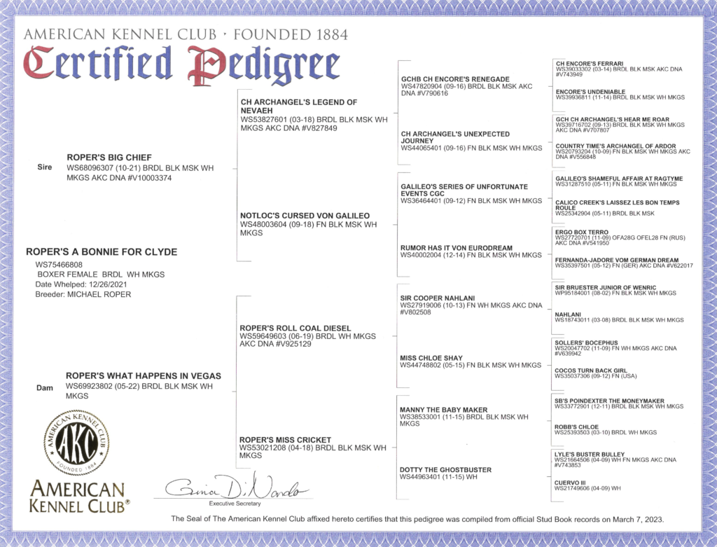 Our Boxers - Ropers Boxers