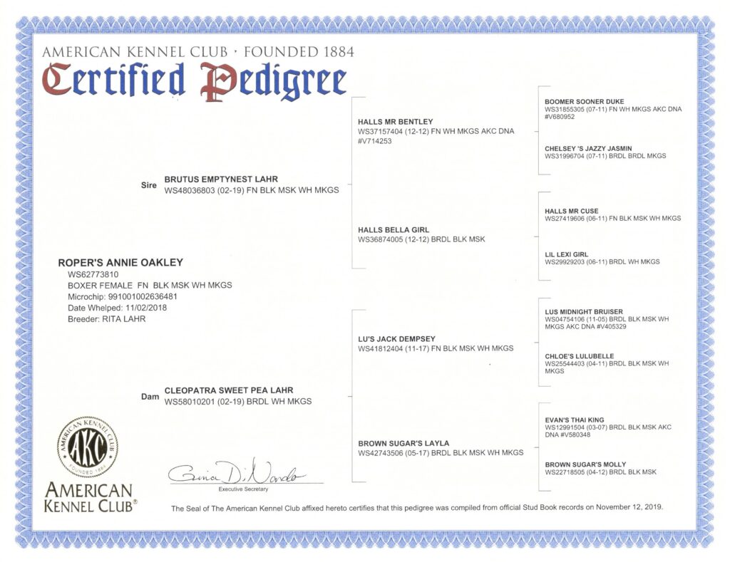 Our Boxers - Ropers Boxers